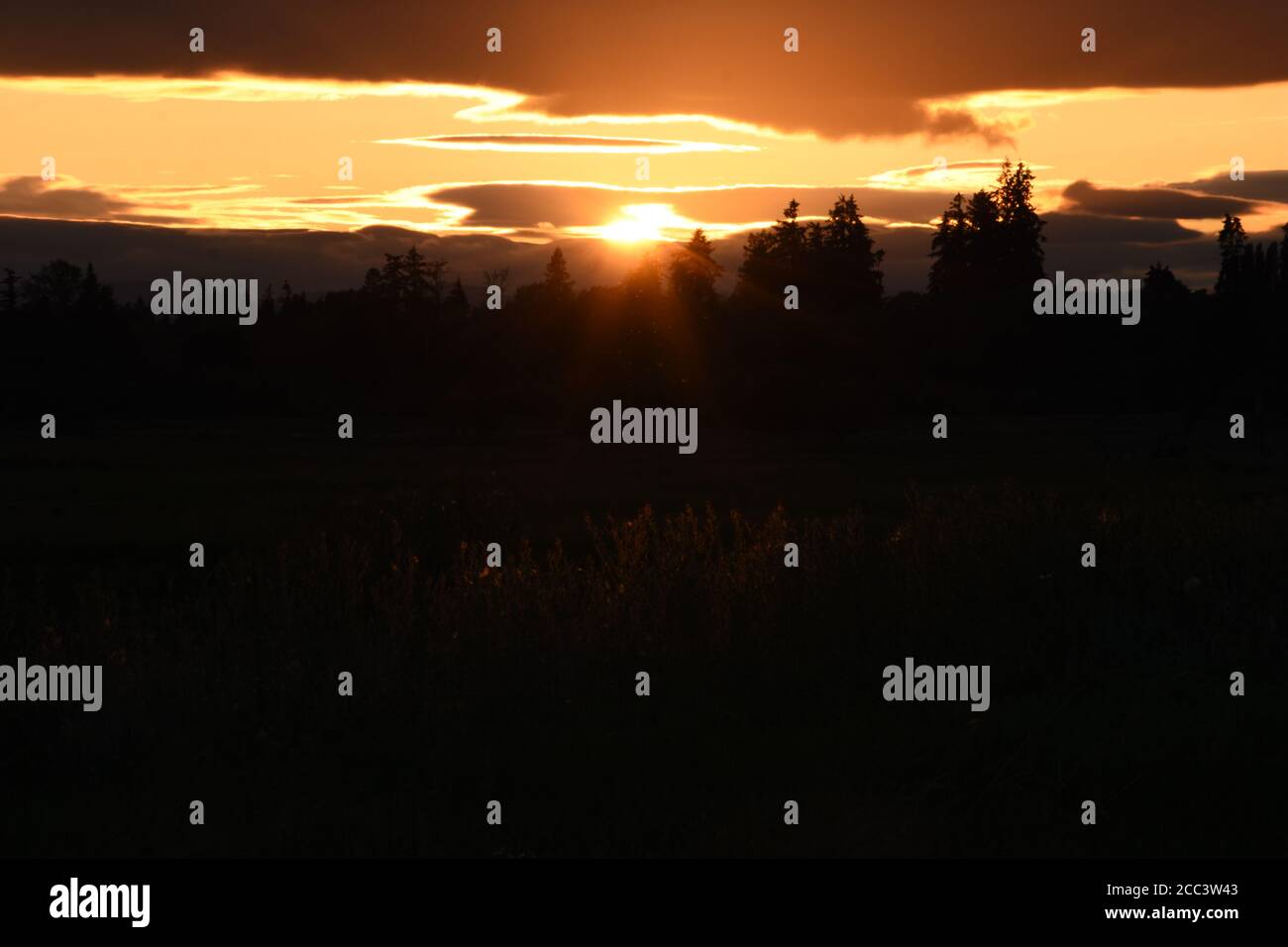 Fairytale sunset with floating dust motes Stock Photo - Alamy