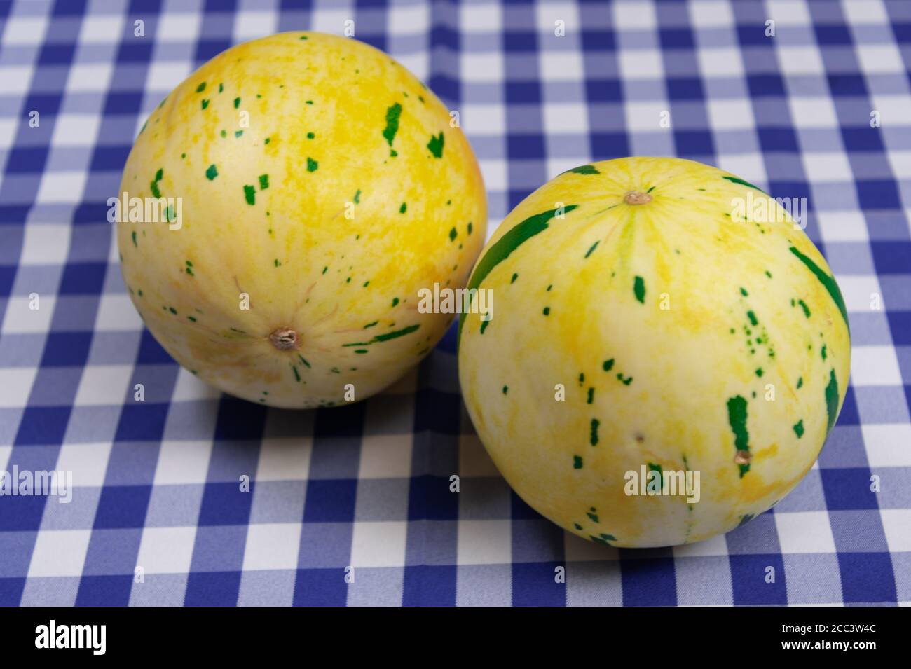 Fruits of Cucumis melo. The melon can have different shapes and colors ...