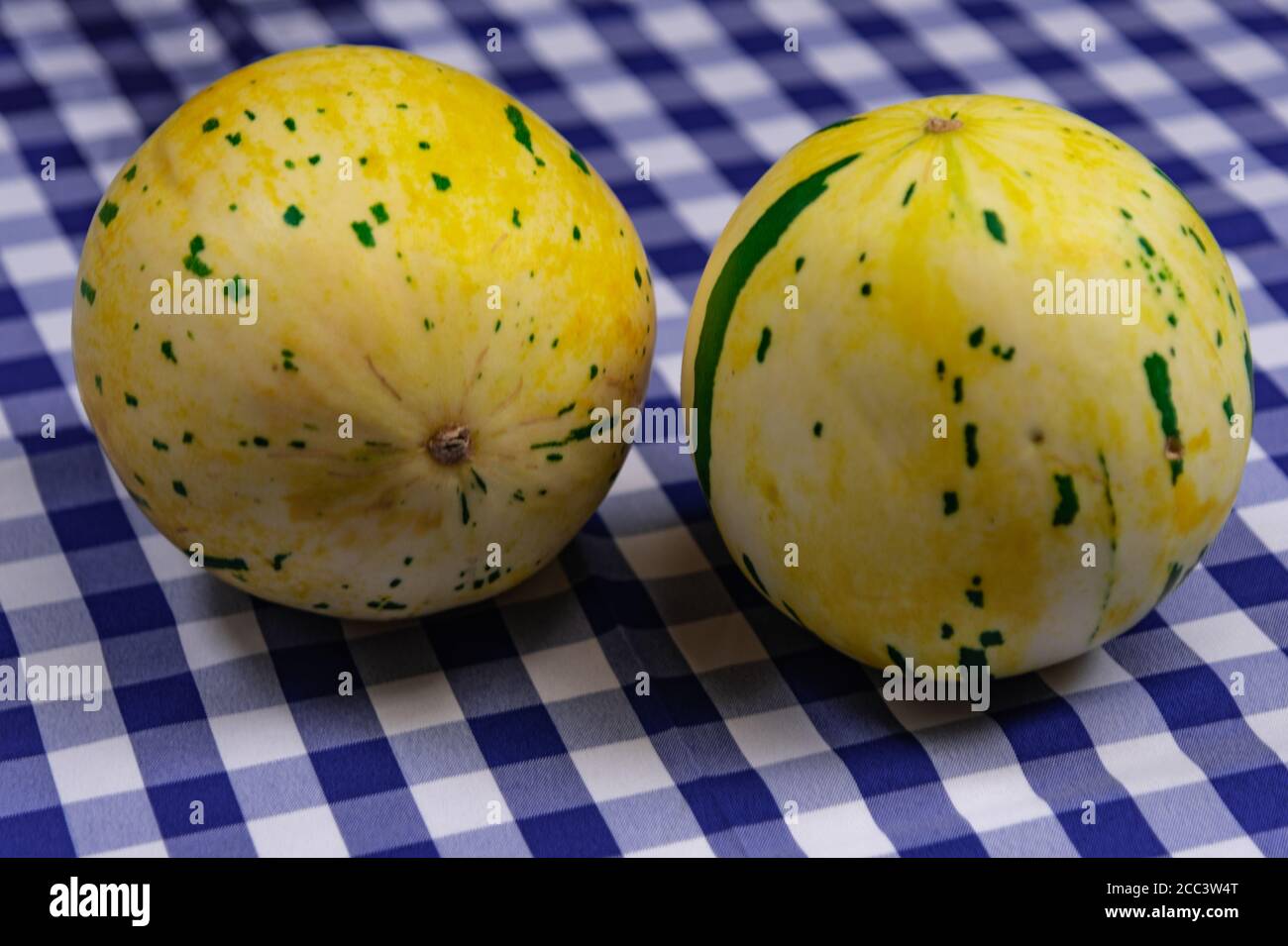 Fruits of Cucumis melo. The melon can have different shapes and colors ...