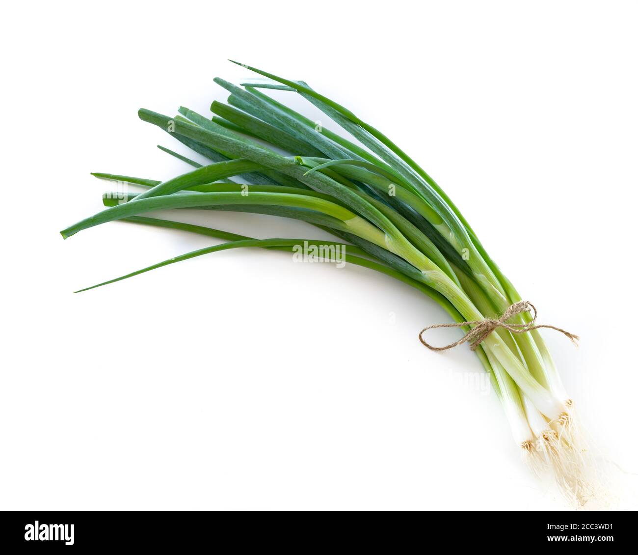 Spring Onion on a White Background Stock Photo - Alamy