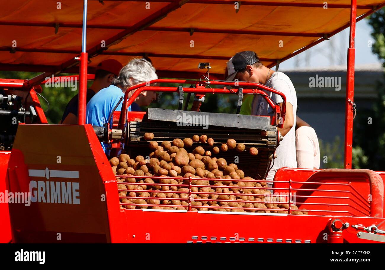 Grimme harvester hi-res stock photography and images - Alamy