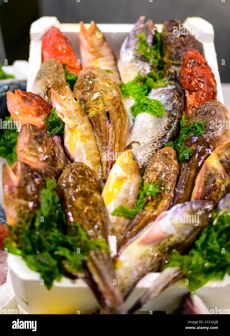 Catch of the day, fresh fish and sea food on ice in fish restaurant in Terracina, Italy close up ...