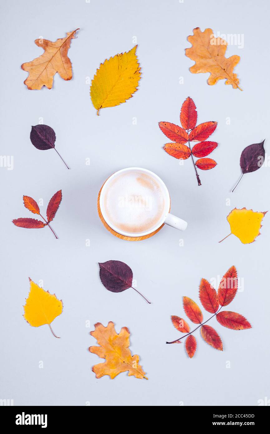 Autumn Fall Background with leaves and cup of coffee. Hello Autumn card ...