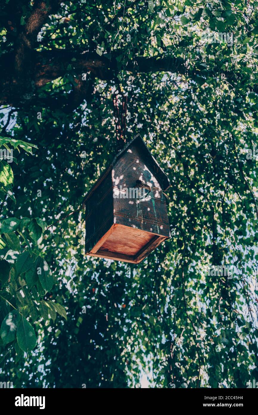 Box manger hi-res stock photography and images - Alamy