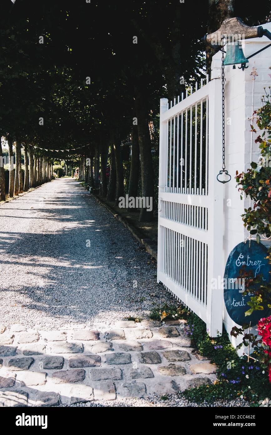 Tree lined estate driveway hi-res stock photography and images - Alamy