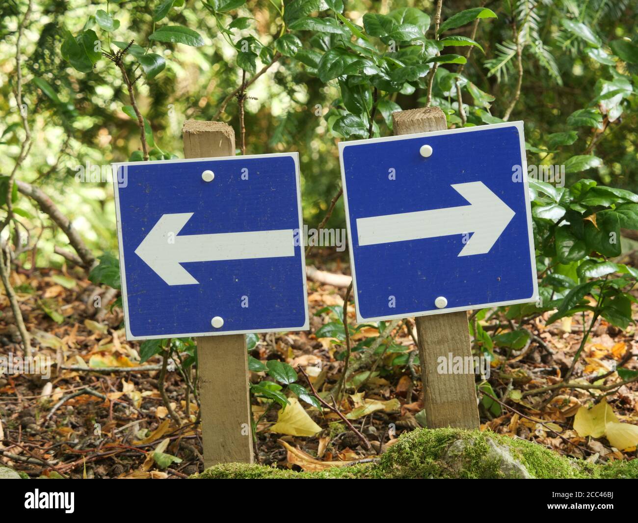 Closeup of two traffic signs showing the way during daylight Stock ...