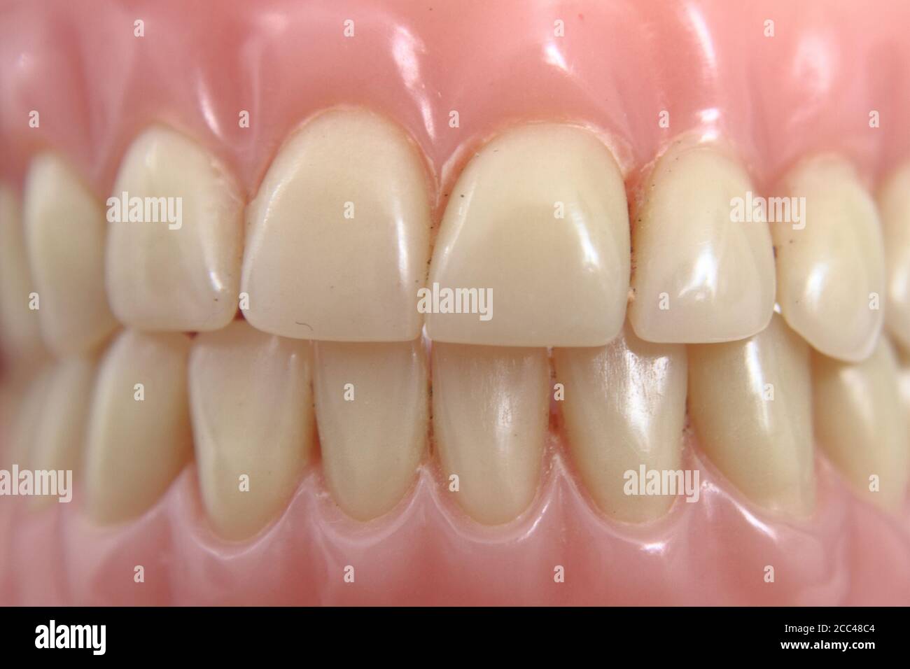 detail of teeth prosthesis as dentist background Stock Photo - Alamy