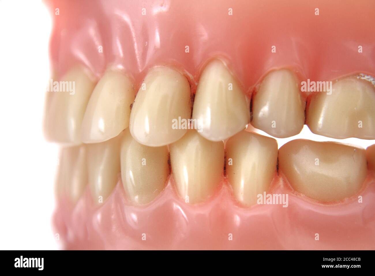 detail of teeth prosthesis as dentist background Stock Photo - Alamy