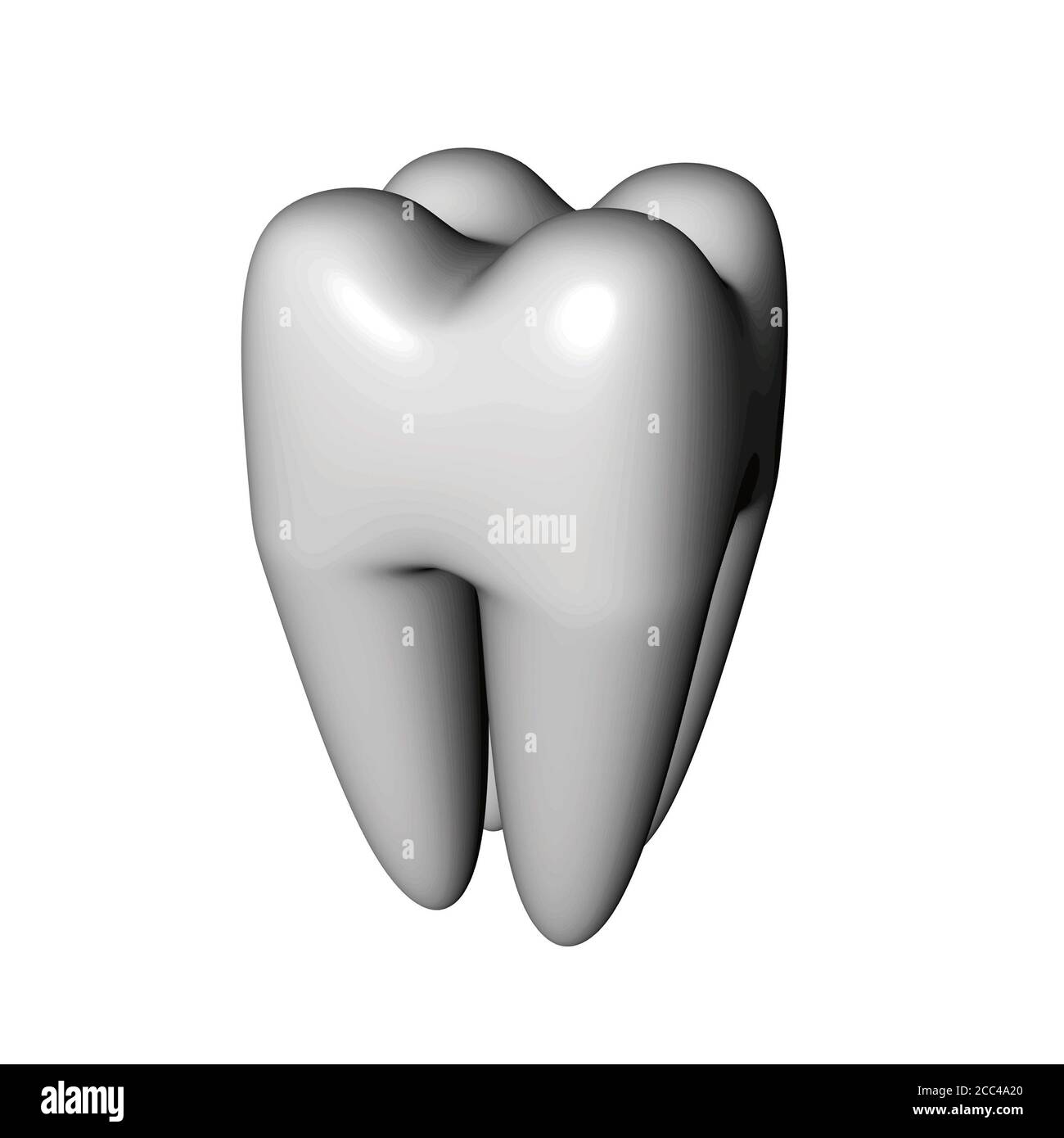 3d rendering of a single tooth isolated on a white background Stock ...
