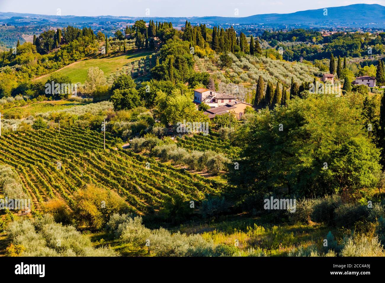 Olive tree view hi-res stock photography and images - Alamy