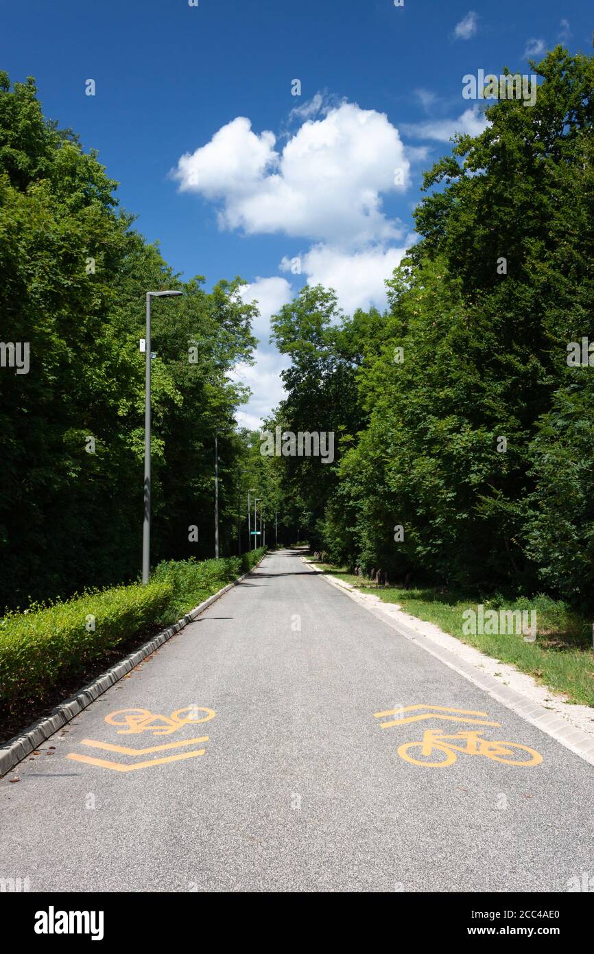 Bicycle track on asphalt road in forest, with blue sky and white clouds ...