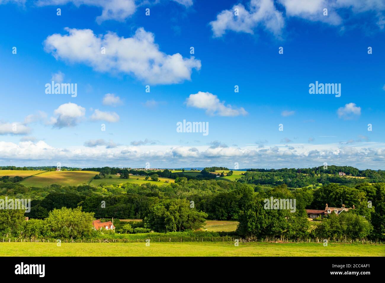 Blackdown hills uk hi-res stock photography and images - Alamy