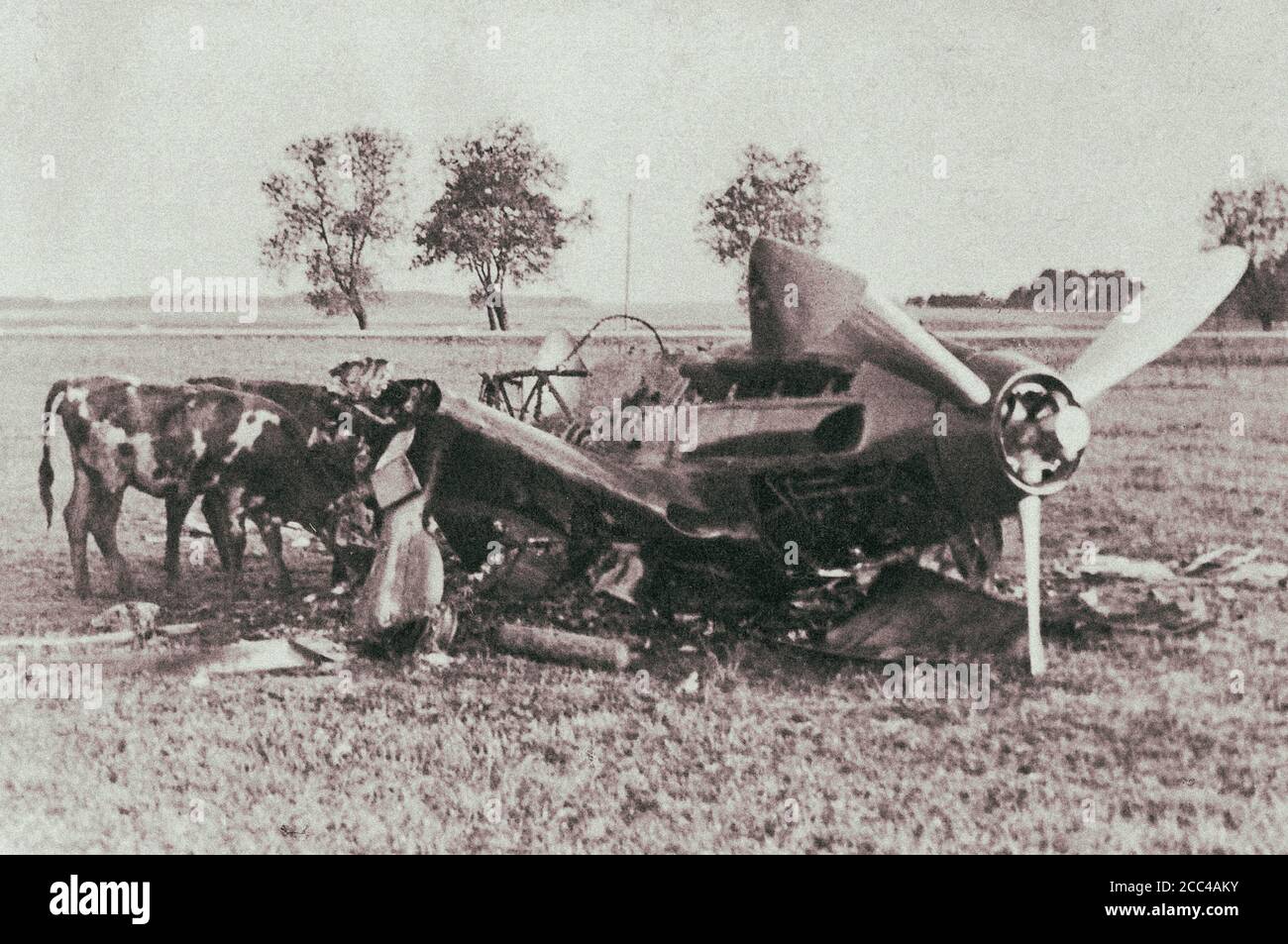 Hitler Old Fighters High Resolution Stock Photography and Images - Alamy