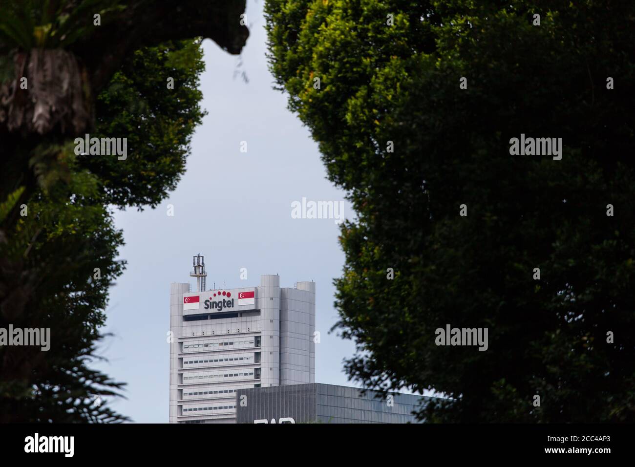 Peek through the trees to see Singtel building with 2 Singapore flags ...