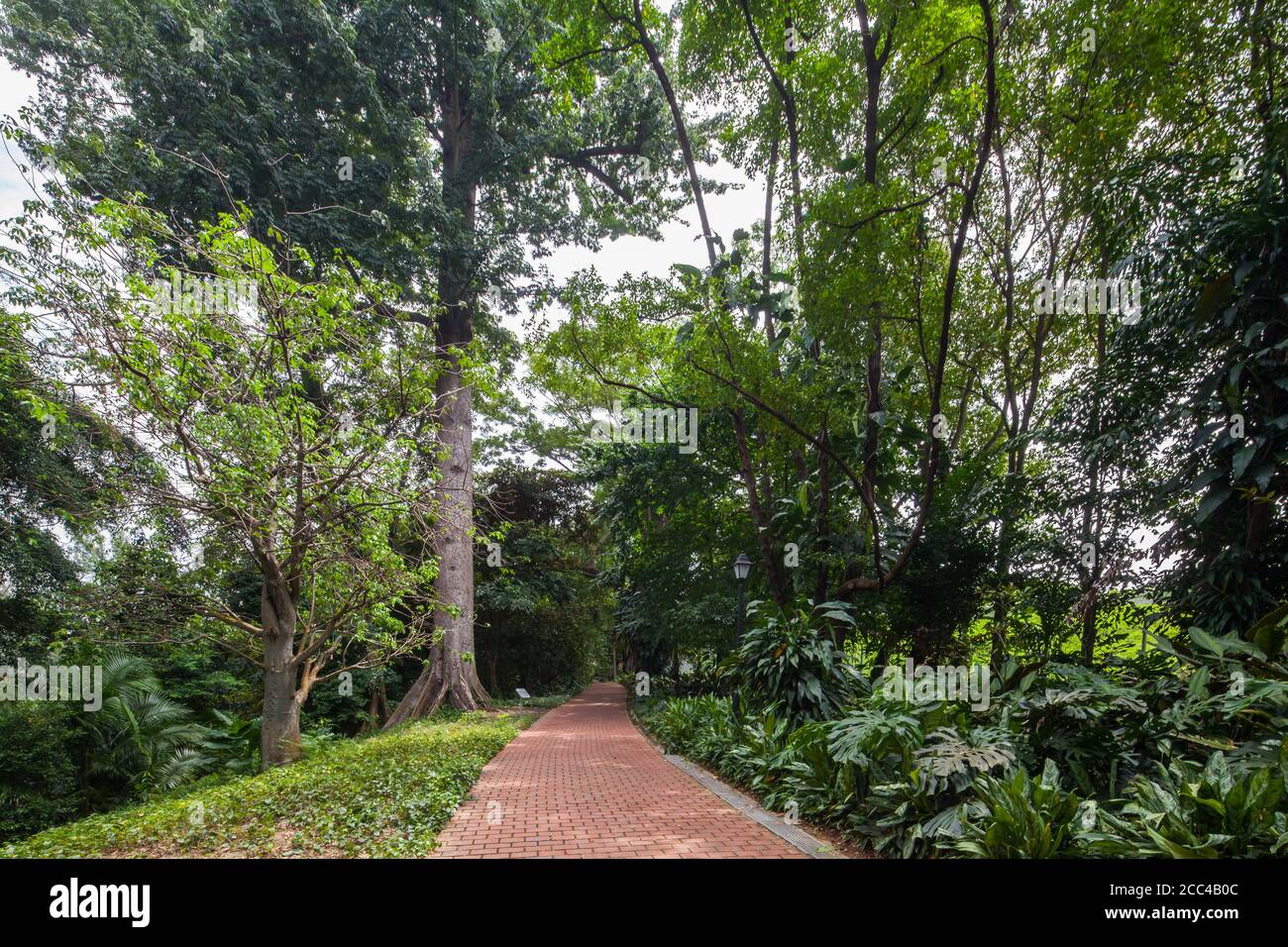 Quiet path hi-res stock photography and images - Alamy