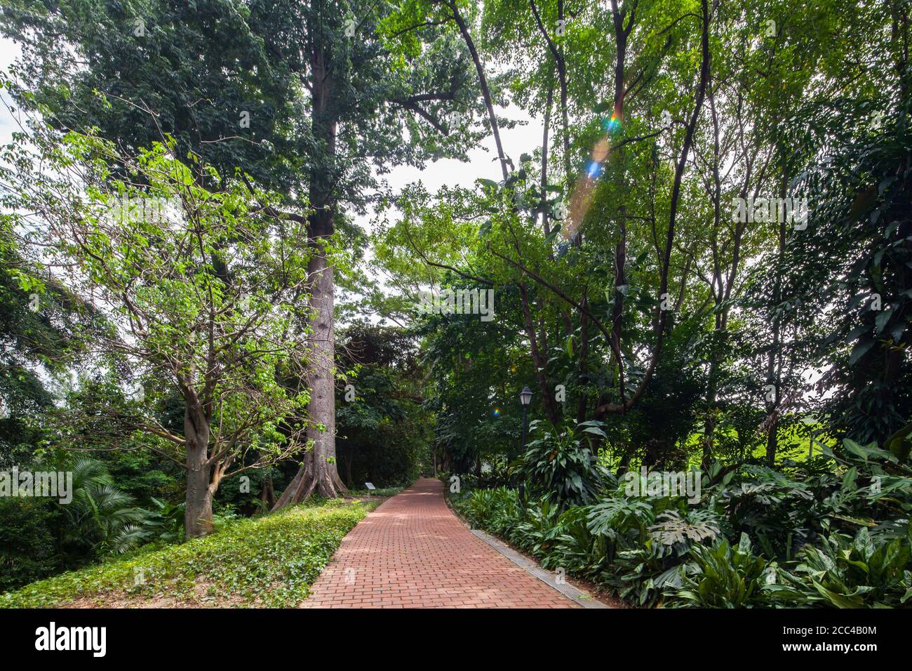 Beautiful long path at Fort Canning Park, Singapore. A popular ...