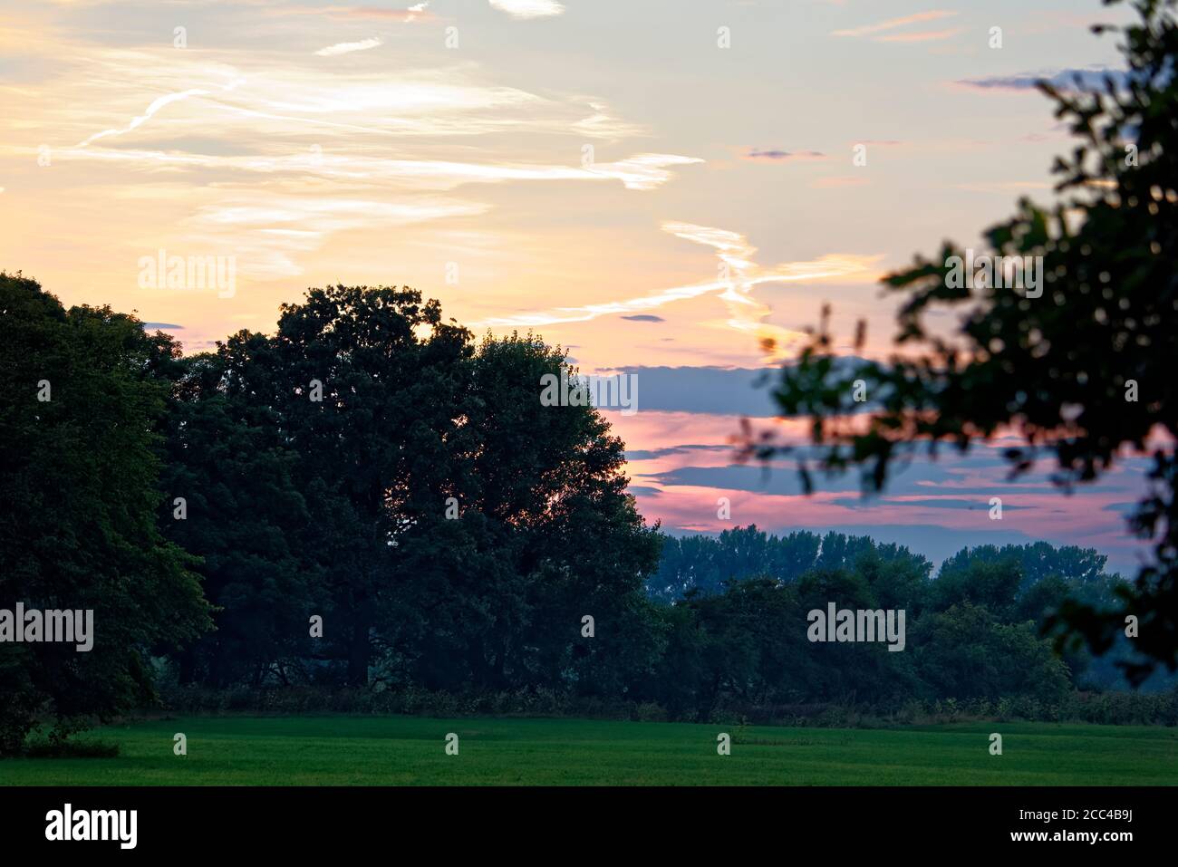 Linden limmer hi-res stock photography and images - Alamy