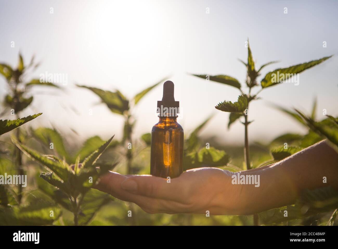 Herbal tincture fresh blooming hi-res stock photography and images - Alamy