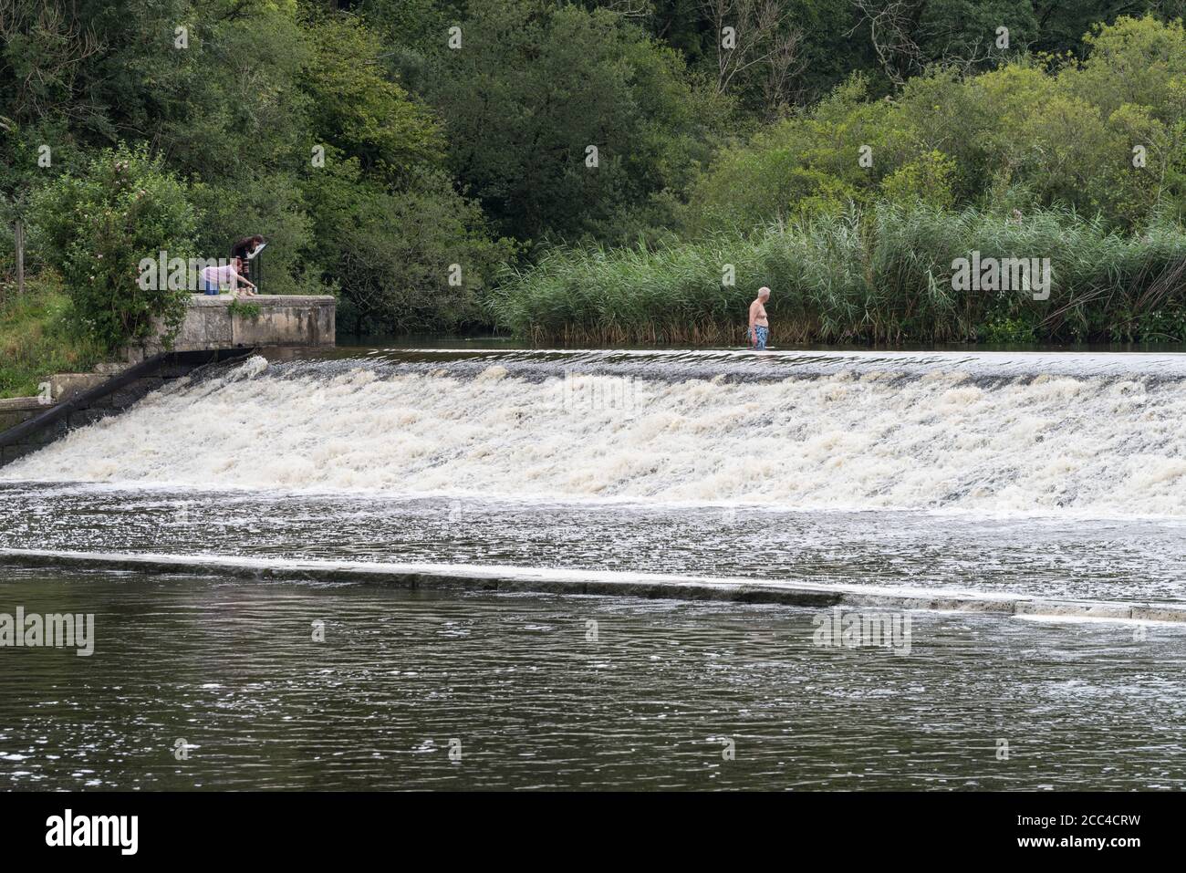 Lopwell dam nature reserve hi-res stock photography and images - Alamy