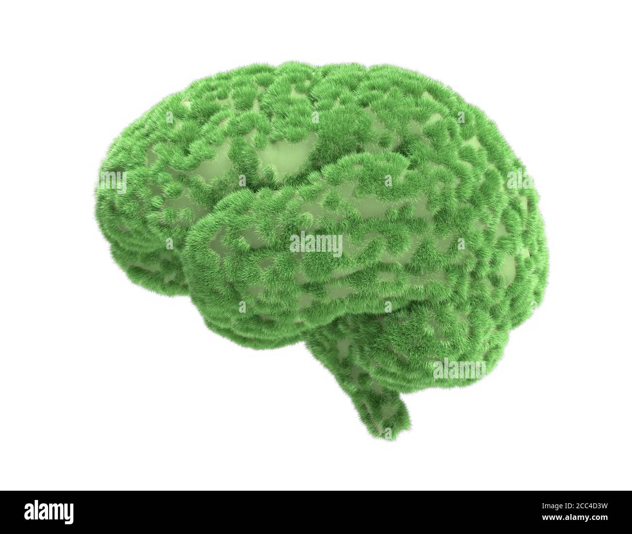 Think green Cut Out Stock Images & Pictures - Alamy