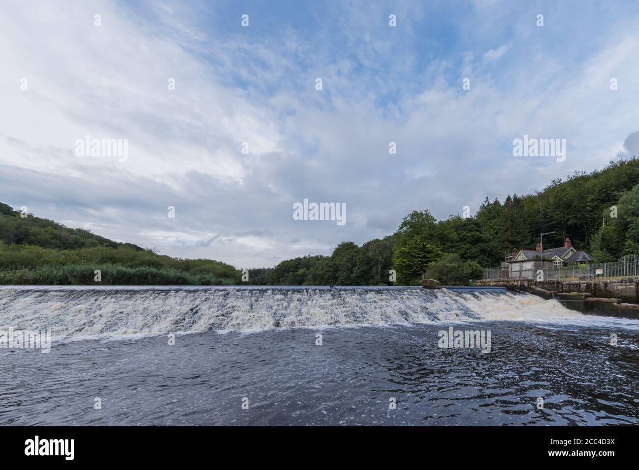 Lopwell dam nature reserve hi-res stock photography and images - Alamy