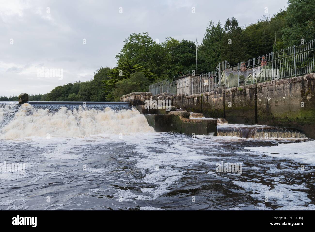 Lopwell dam nature reserve hi-res stock photography and images - Alamy