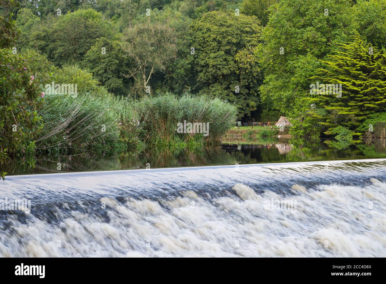 Lopwell dam nature reserve hi-res stock photography and images - Alamy