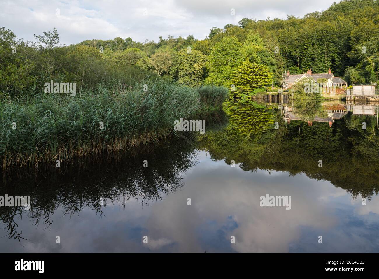 Lopwell dam nature reserve hi-res stock photography and images - Alamy