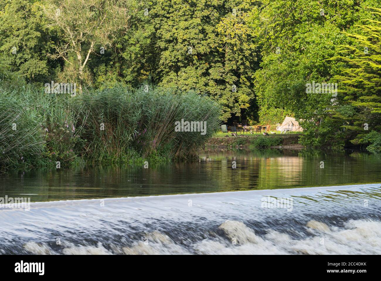 Lopwell dam nature reserve hi-res stock photography and images - Alamy