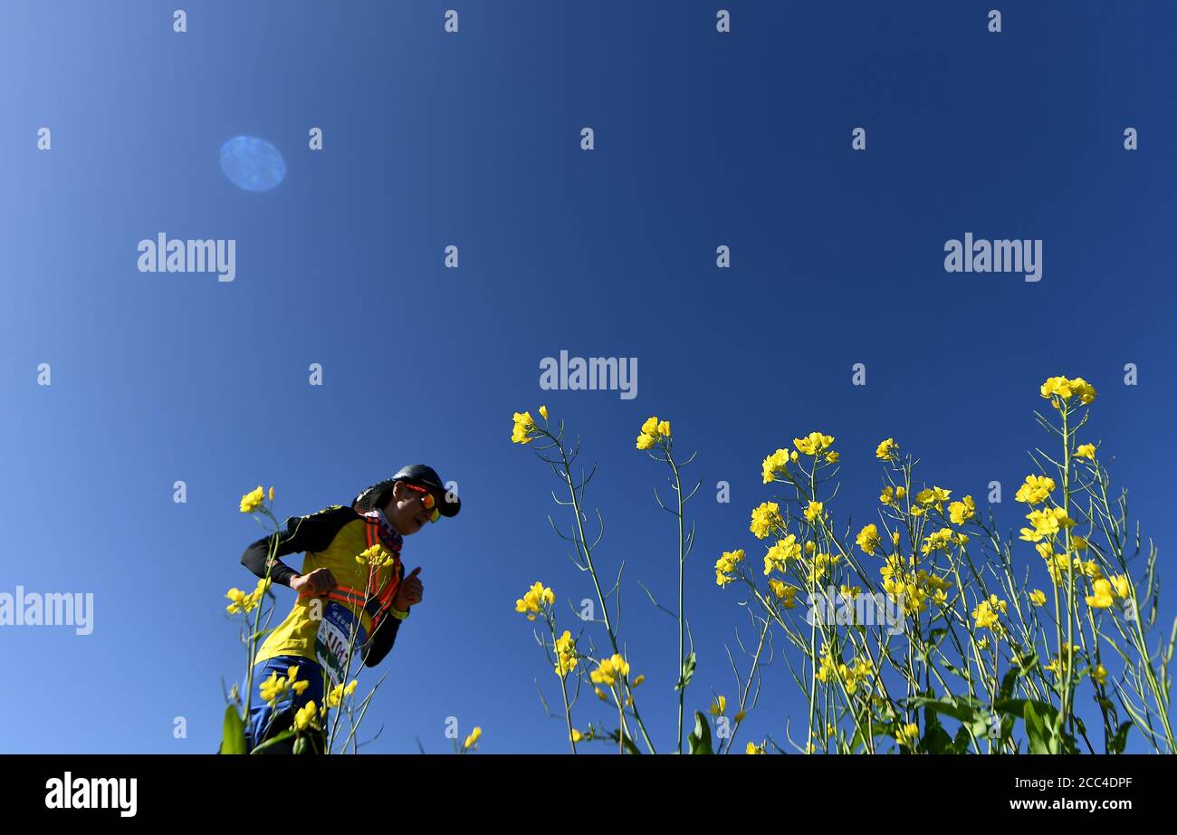 (200818) -- XINING, Aug. 18, 2020 (Xinhua) -- Li Bin from Shaanxi ...
