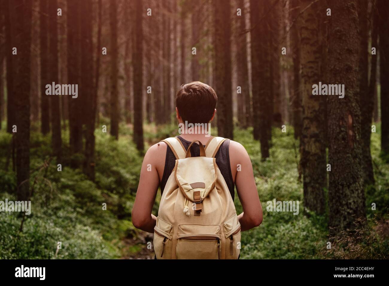Closeup portrait of young hiker hiking, looking up at trees. Mountain ...