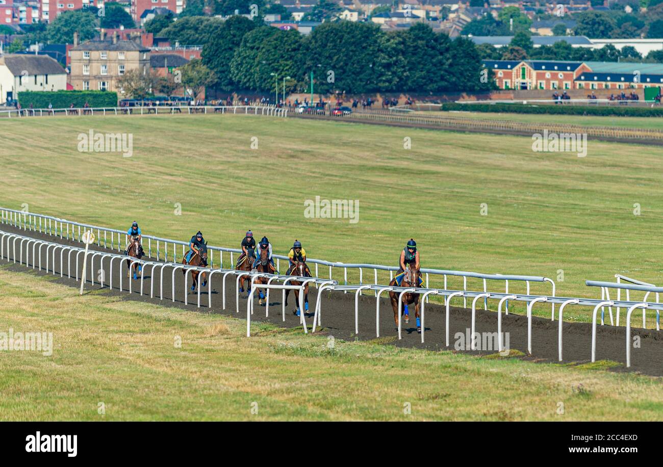 Gallops newmarket racecourse hi-res stock photography and images - Alamy