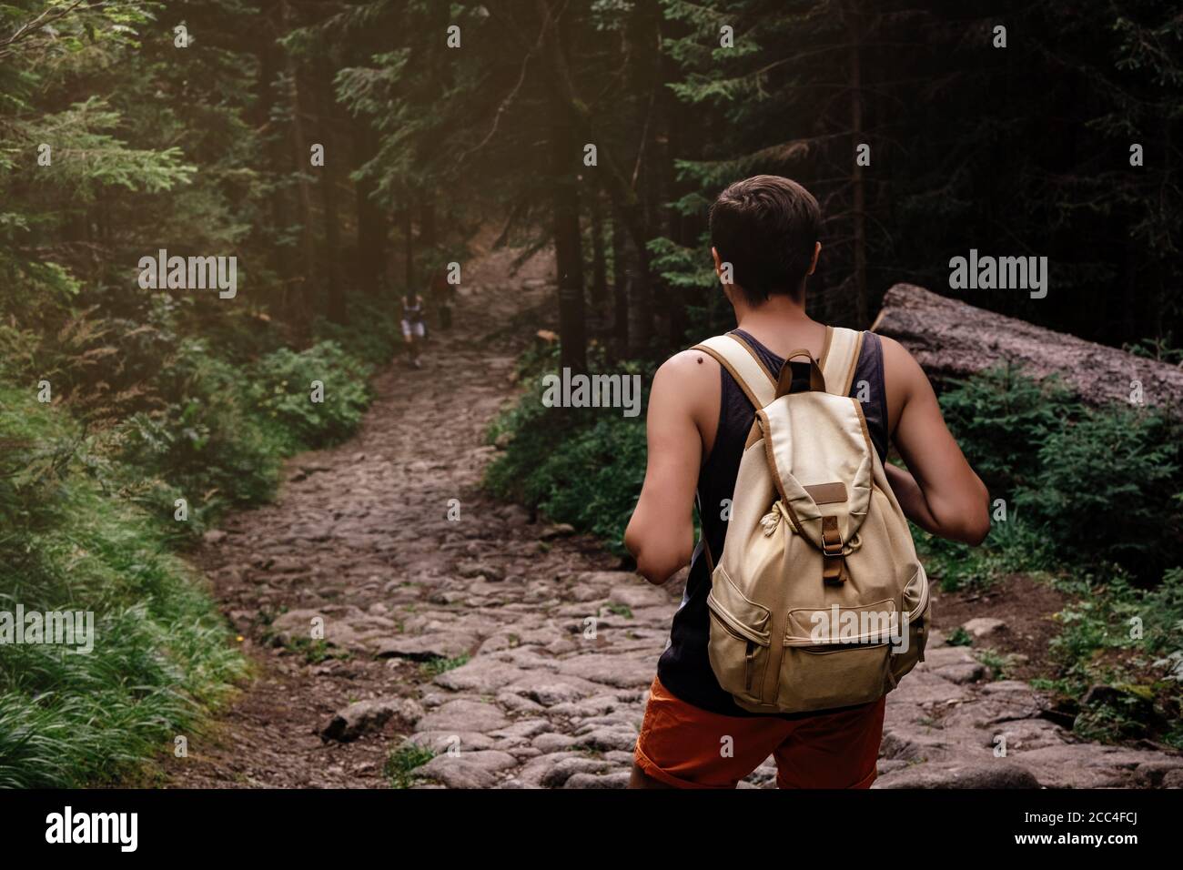 Closeup portrait of young hiker hiking, looking up at trees. Mountain ...