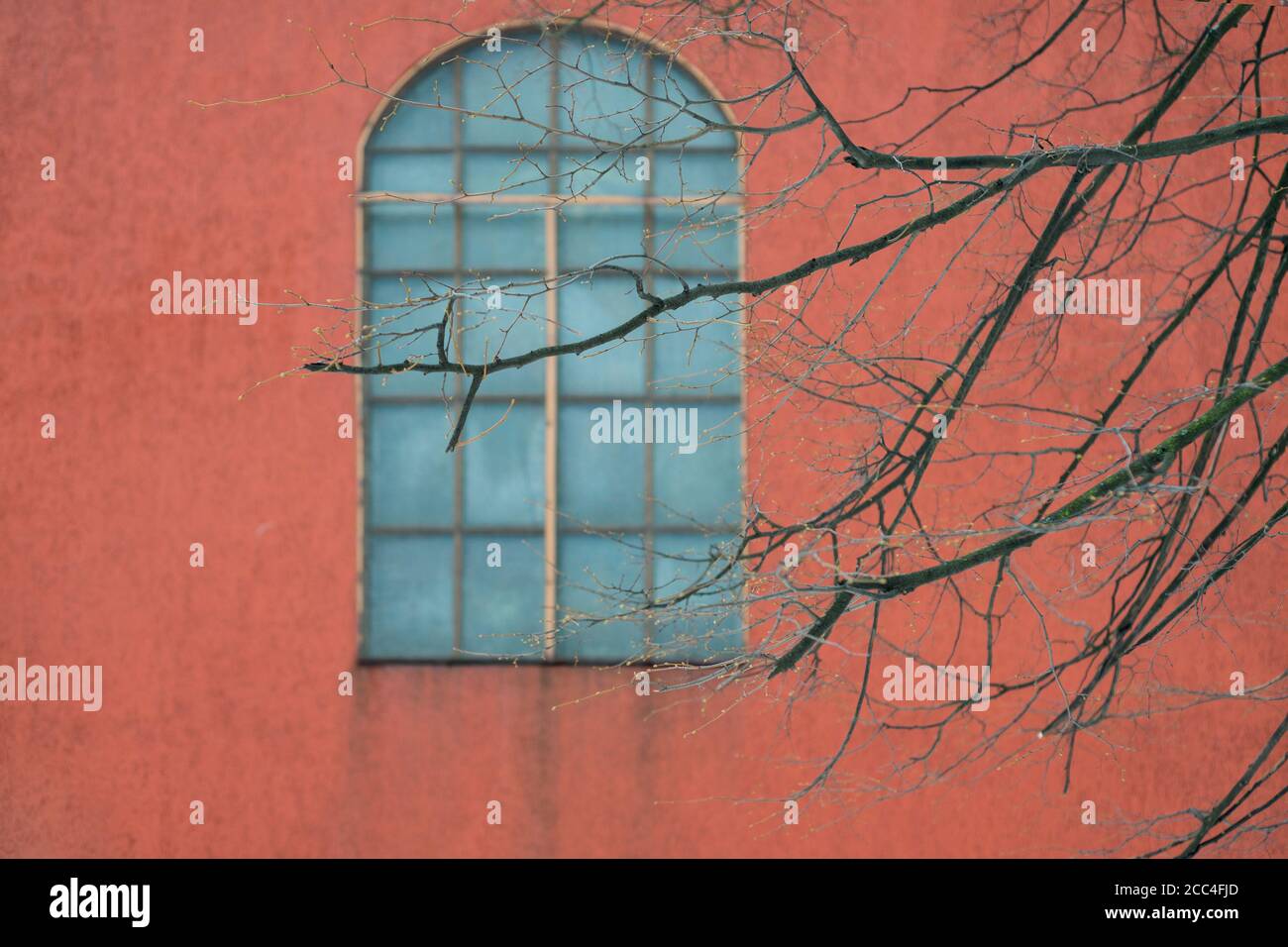 Window, red wall and dry tree branches Stock Photo - Alamy