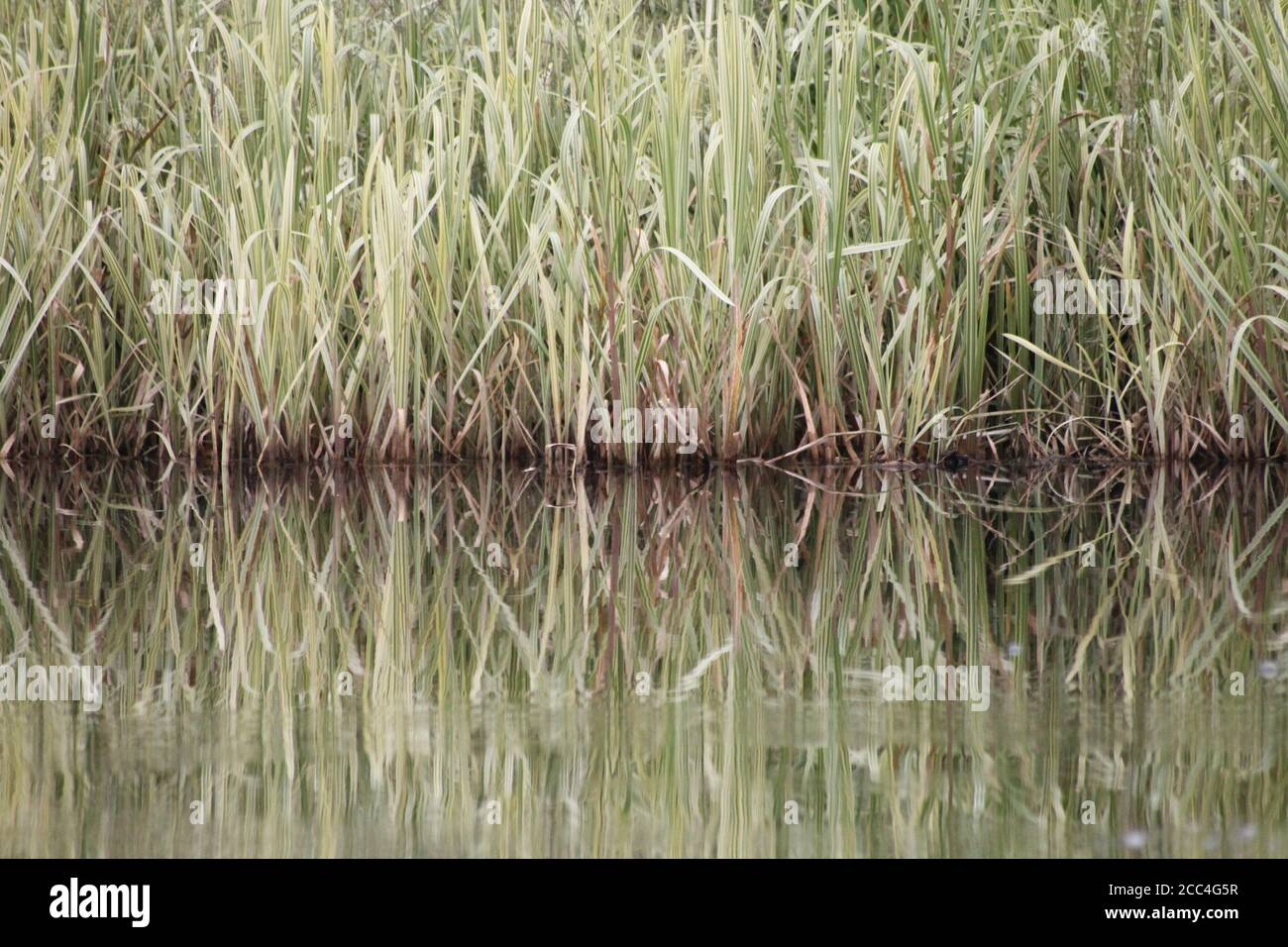 Water lake pond river hi-res stock photography and images - Alamy