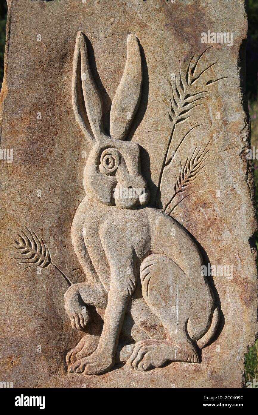 Hare stone hi-res stock photography and images - Alamy