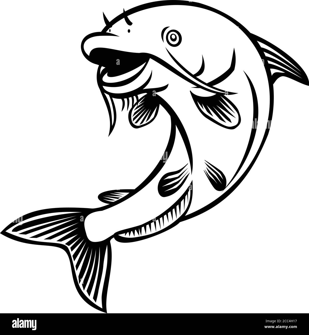 Cartoon style illustration of a blue catfish Ictalurus furcatus , North ...