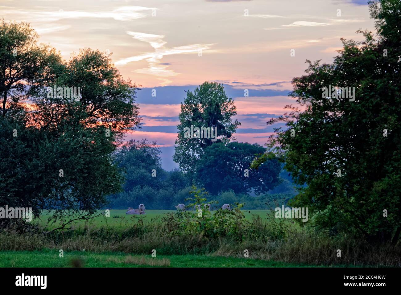 Sunset in Linden Limmer Hannover Germany Stock Photo - Alamy