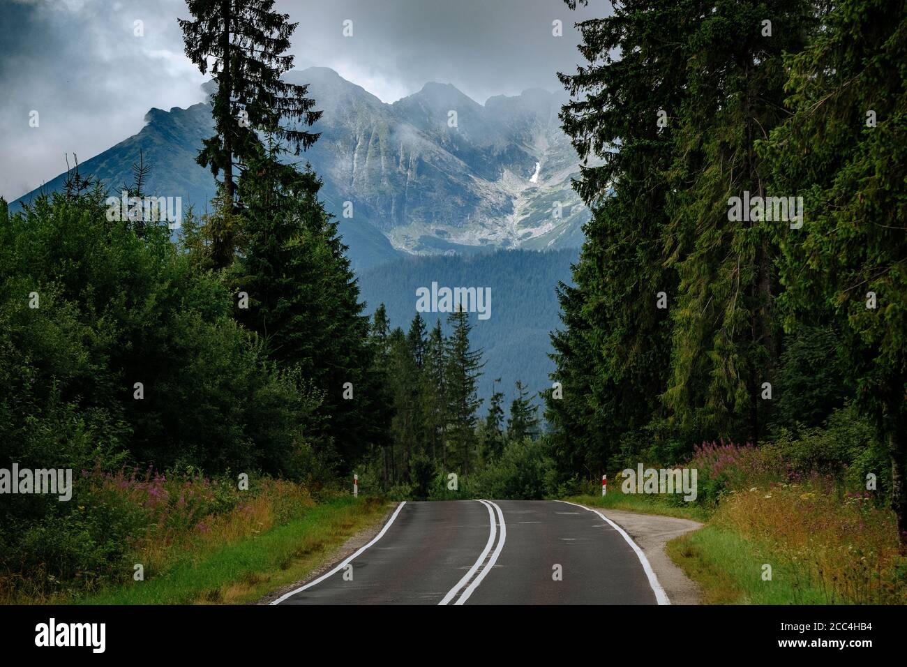 Road to the great mountain in summer. Mountain road to Lysa Polana and ...