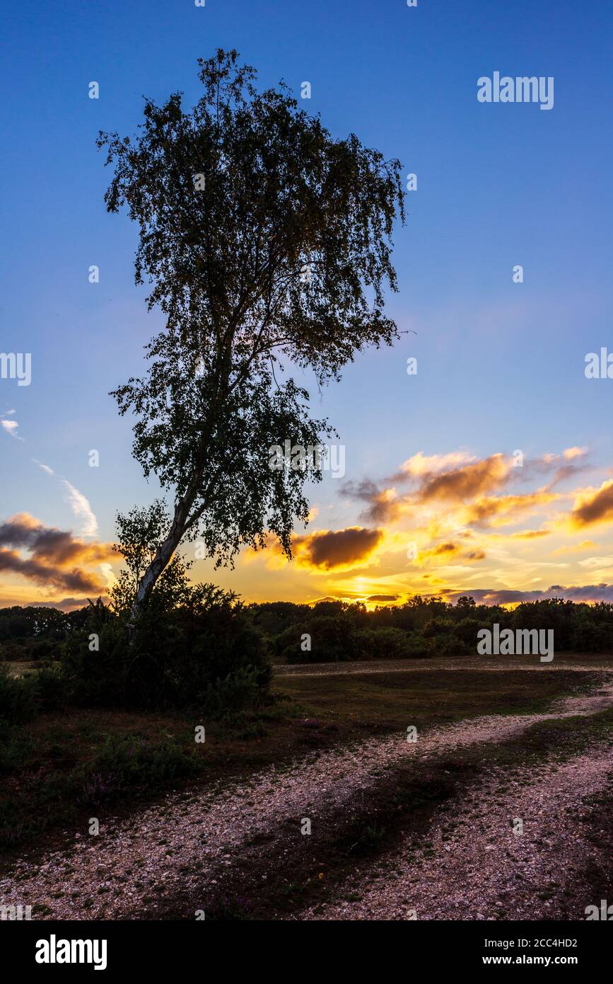 Sunset with foreground hi-res stock photography and images - Alamy