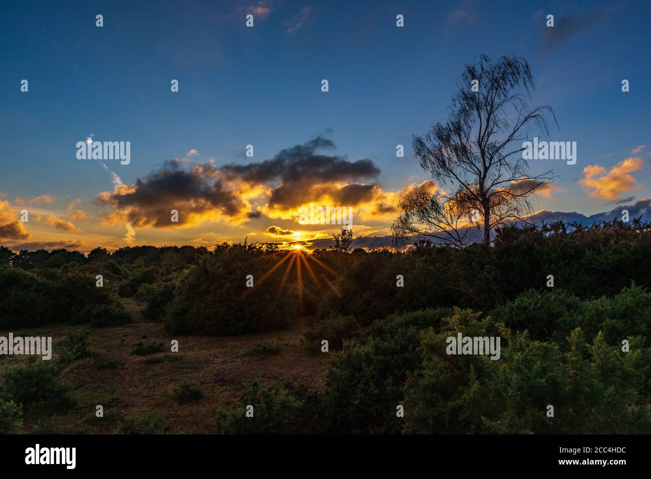 Deep blue sky sunset hi-res stock photography and images - Alamy