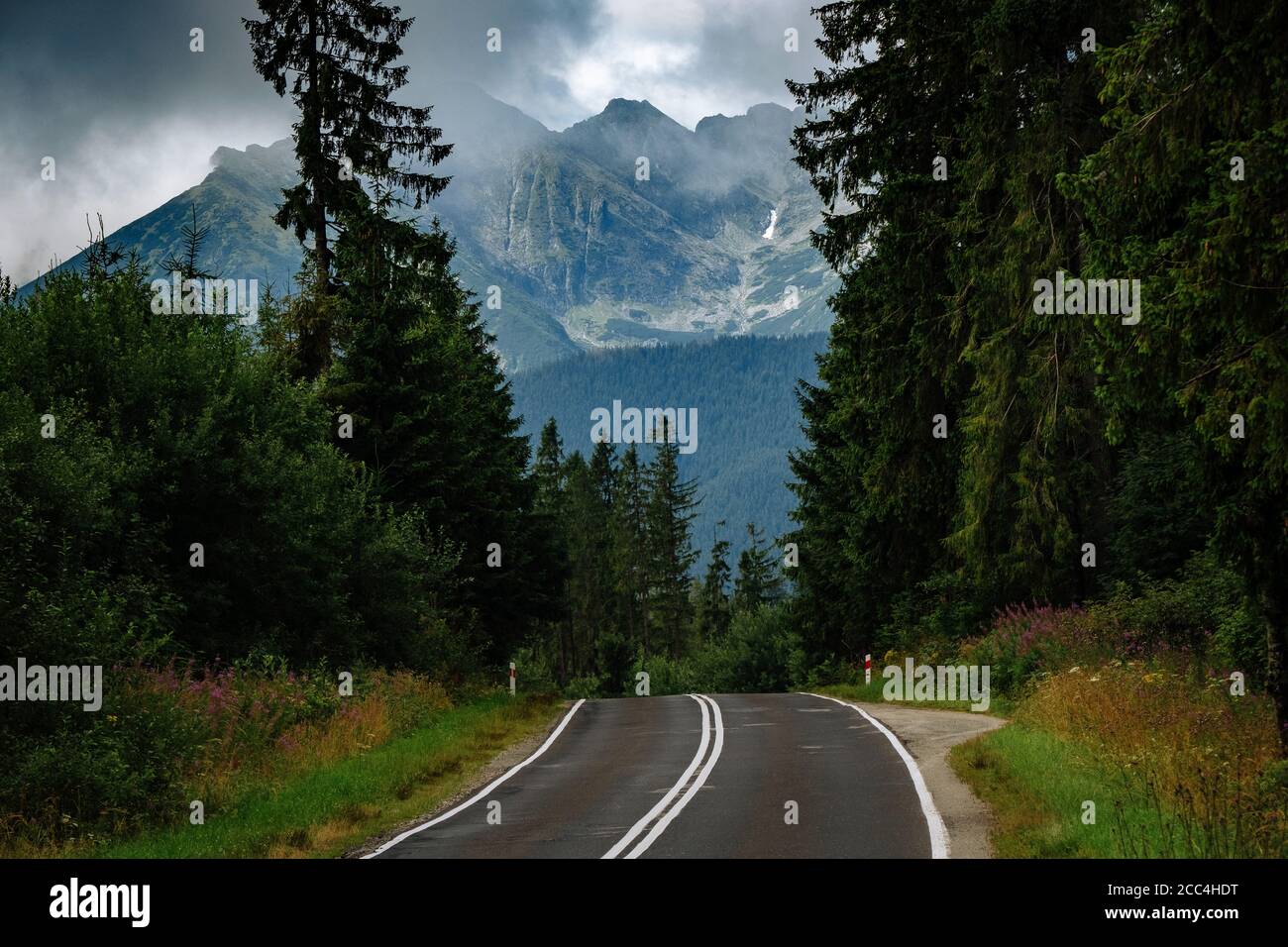 Road to the great mountain in summer. Mountain road to Lysa Polana and ...