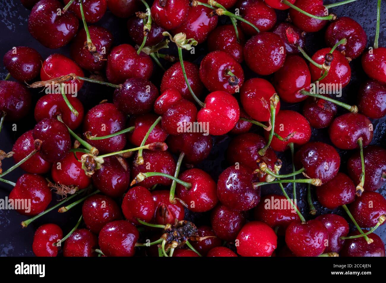 Top view on fresh, wet, dark cherries. Water drops on bright shiny dark ...