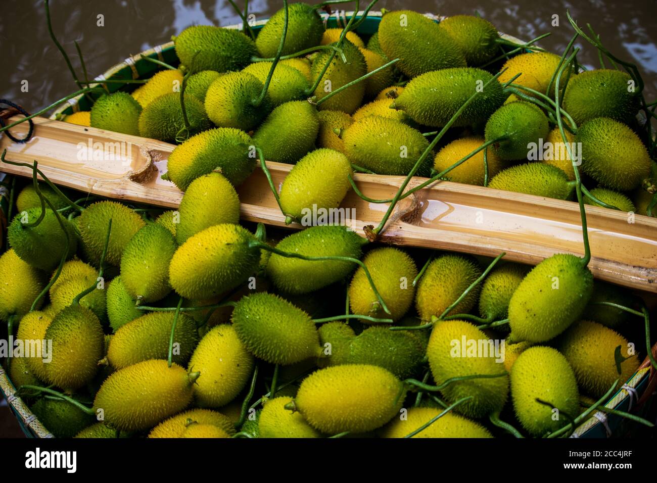 Green Momordica Dioica, commonly known as Spiny Gourd also known as ...