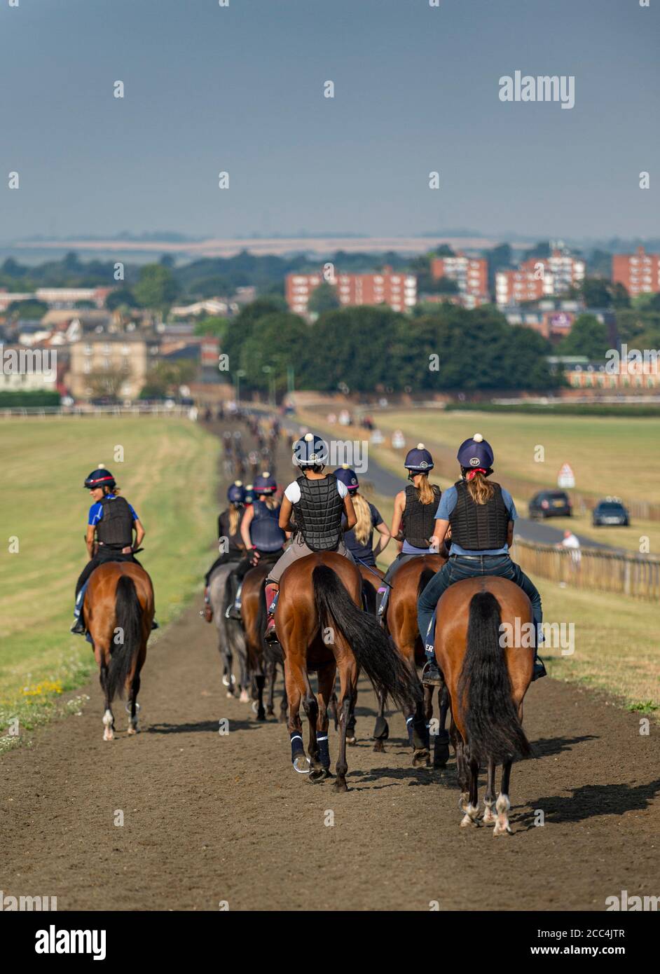 England newmarket horses at the gallops hi-res stock photography and ...