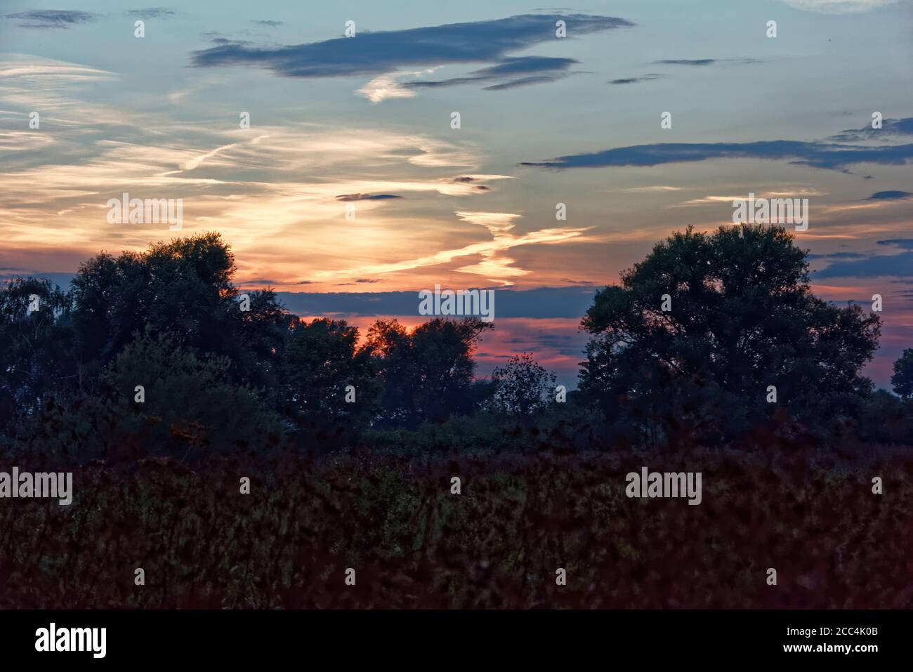 Linden limmer hi-res stock photography and images - Alamy