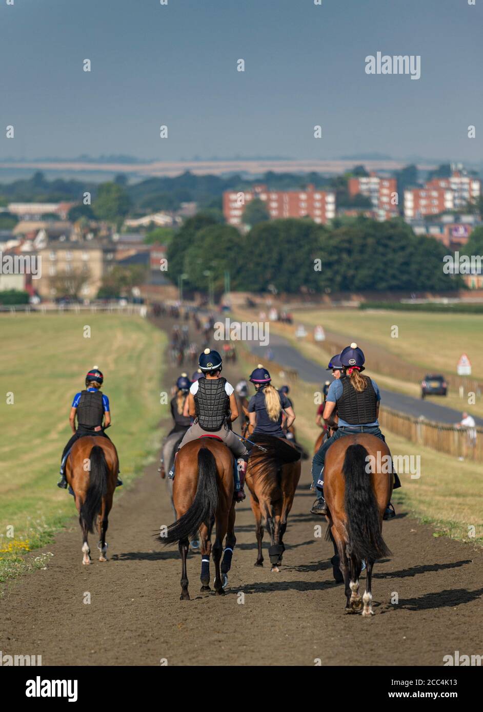 Race horse training newmarket suffolk hi-res stock photography and ...
