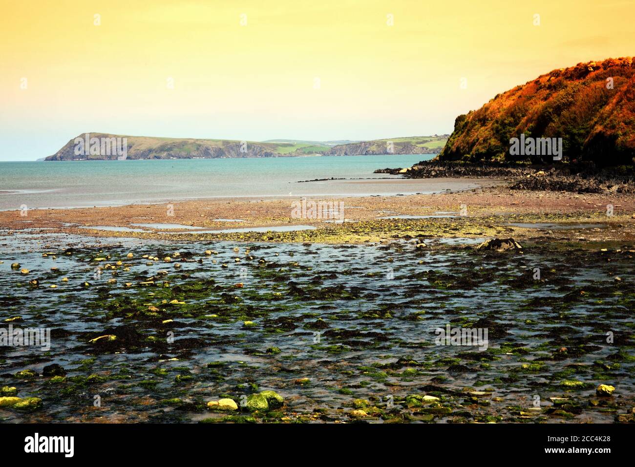 Fishguard bay resort hi-res stock photography and images - Alamy