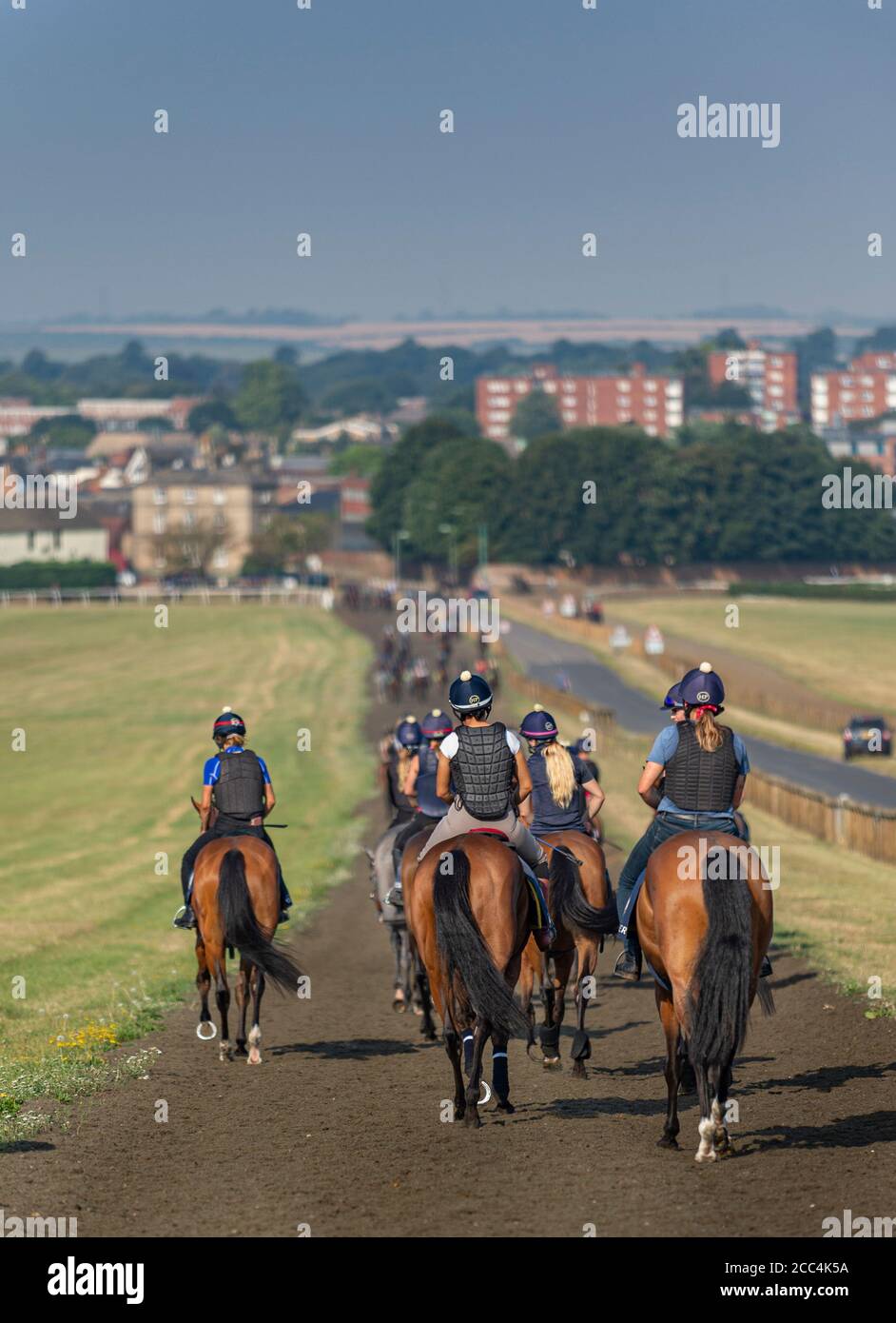 Race horse training newmarket suffolk hi-res stock photography and ...