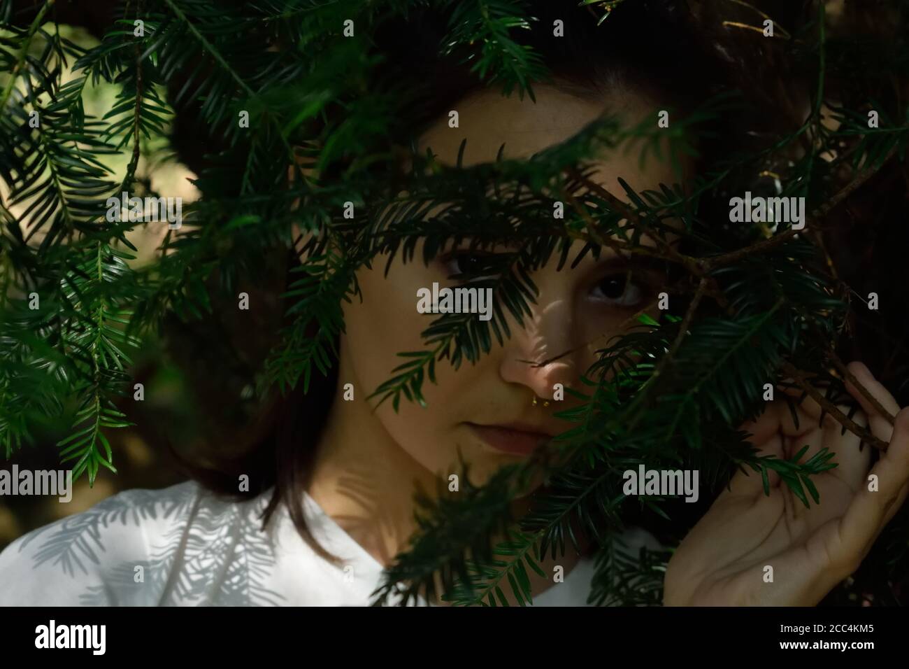Obscured by branches hi-res stock photography and images - Alamy